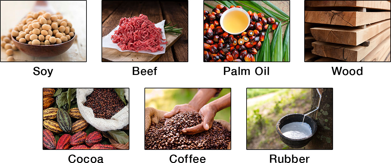 European Union Deforestation Regulation (EUDR) Support | SCS Global Services